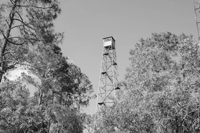 Thermal Night Vision Camera | Modern Wildfire Detection System